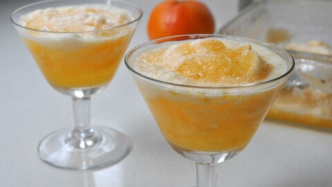 Sorbete de Mandarina: Receta Fácil - IdeasParaCocinar