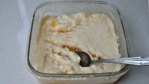 Sorbete de Mandarina: Receta Fácil - IdeasParaCocinar