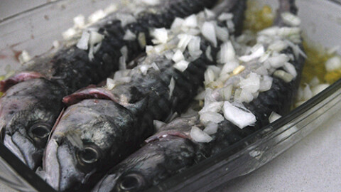 Xarda al Horno: Receta tradicional (Fácil) - IdeasParaCocinar